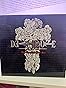 Death Note Complete Box Set: Volumes 1-13 with Premium: Ohba, Tsugumi ...