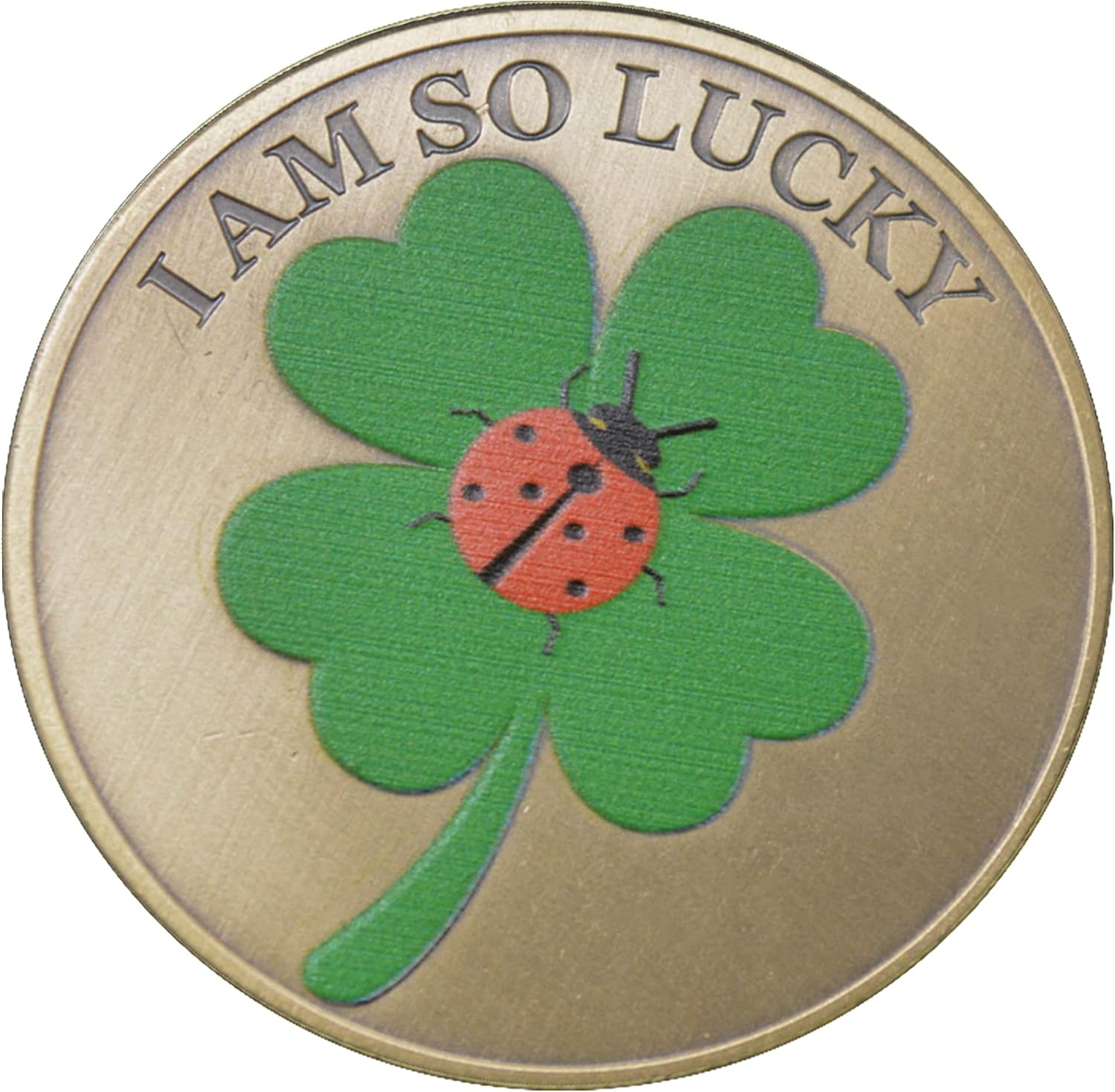 Amazon.com: Lucky Charm for Good Fortune - Brass Coin with Four-Leaf ...