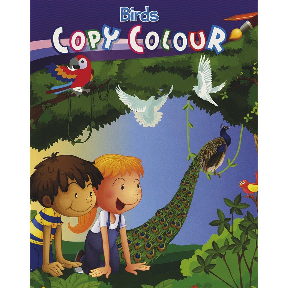 Buy Birds Copy Colour Book Online at Low Prices in India | Birds Copy ...