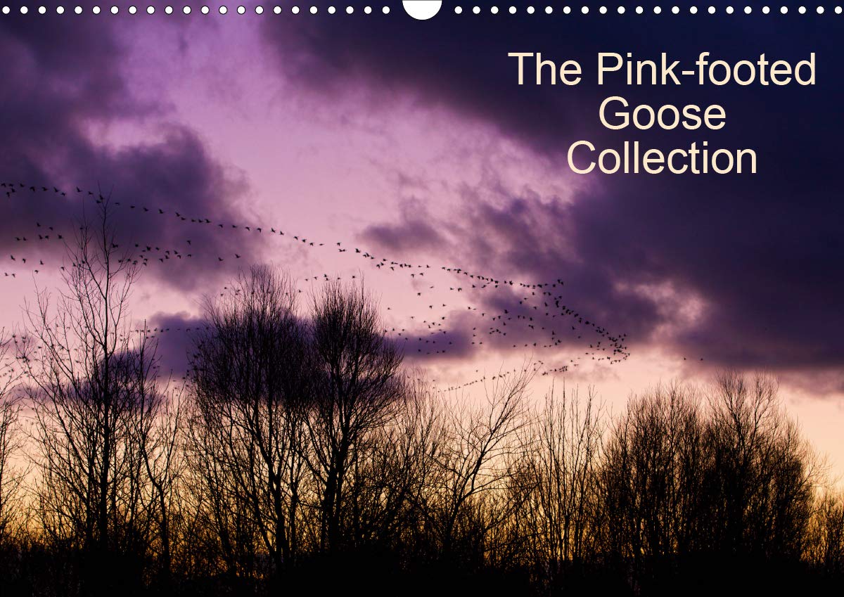 The Pinkfoot Goose Collection 2020: Collection of colourful images from ...