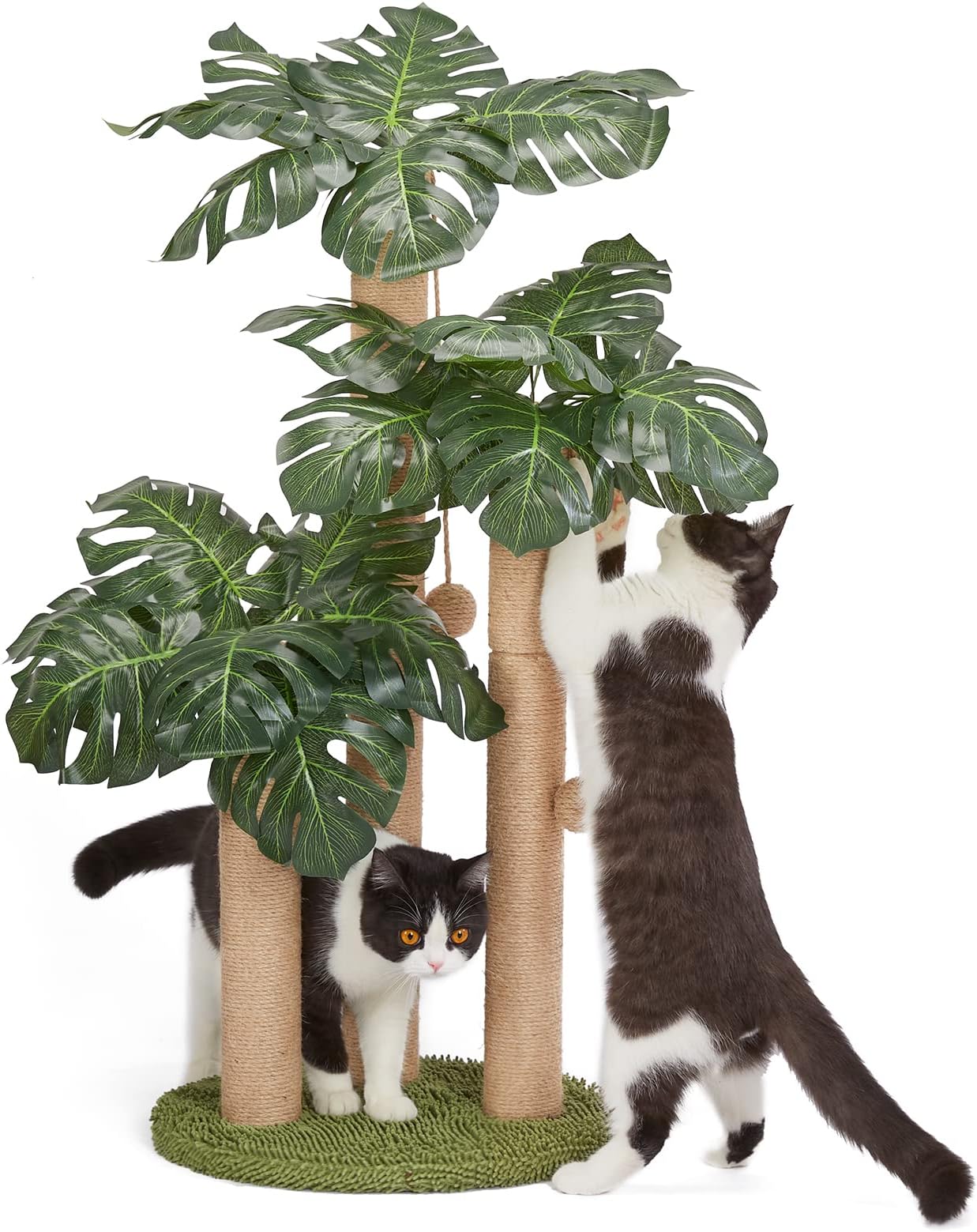 Amazon.com : Monstera Tree+Palm Tree Cat Scratching Posts : Pet Supplies