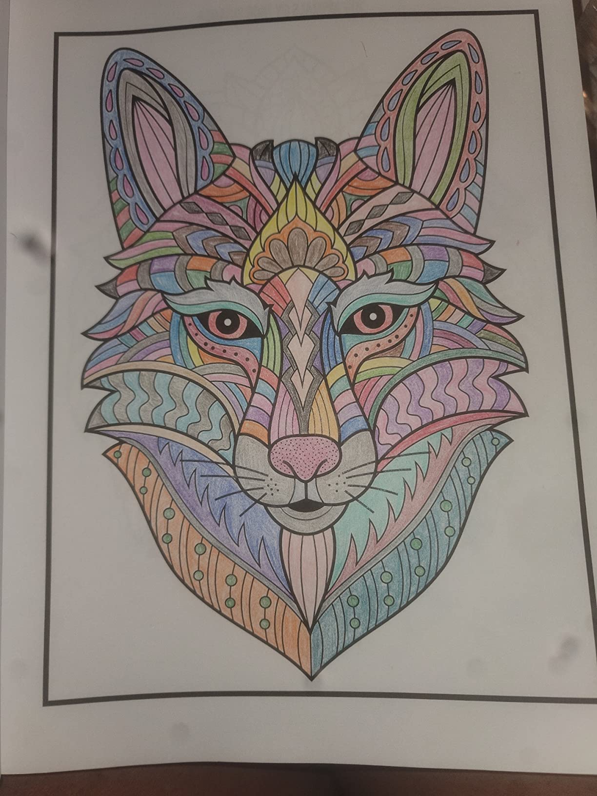 Large Print Coloring Book: Easy Animal Designs: Dylanna Press ...
