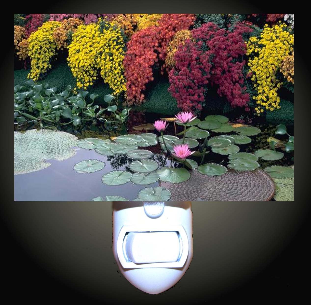 Lily Pad Garden Decorative Nightlight - Night Lights - Amazon.com