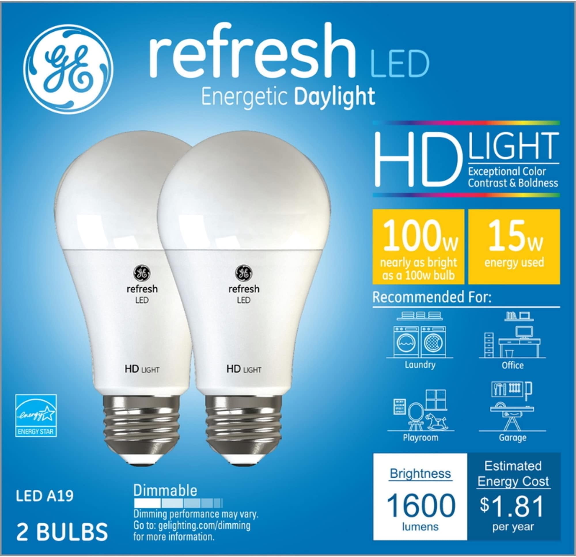 GE Daylight 100 Watt Replacement LED Light Bulbs, General Purpose ...