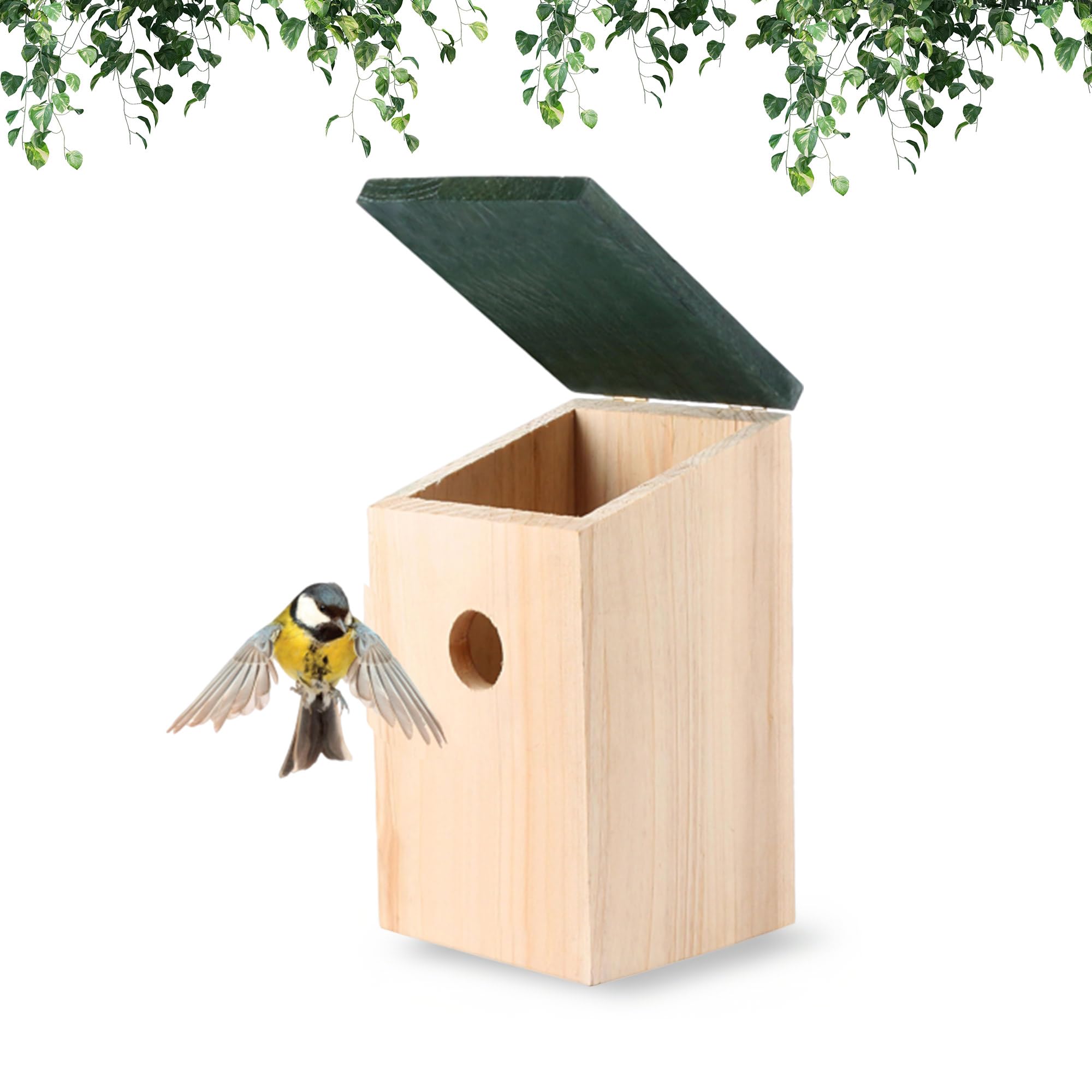 Amazon.com : Casafoyer Premium Wooden Bird Nesting Box - Ideal for ...