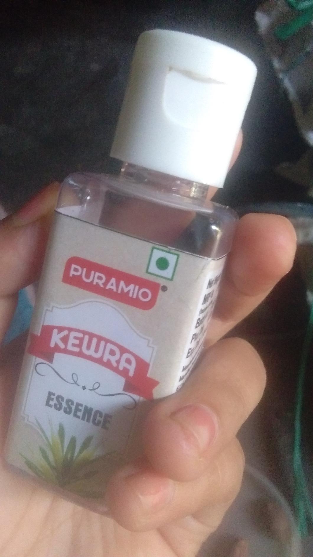 PURAMIO Kewra Culinary Essence, (50 ML) : Amazon.in: Grocery & Gourmet ...