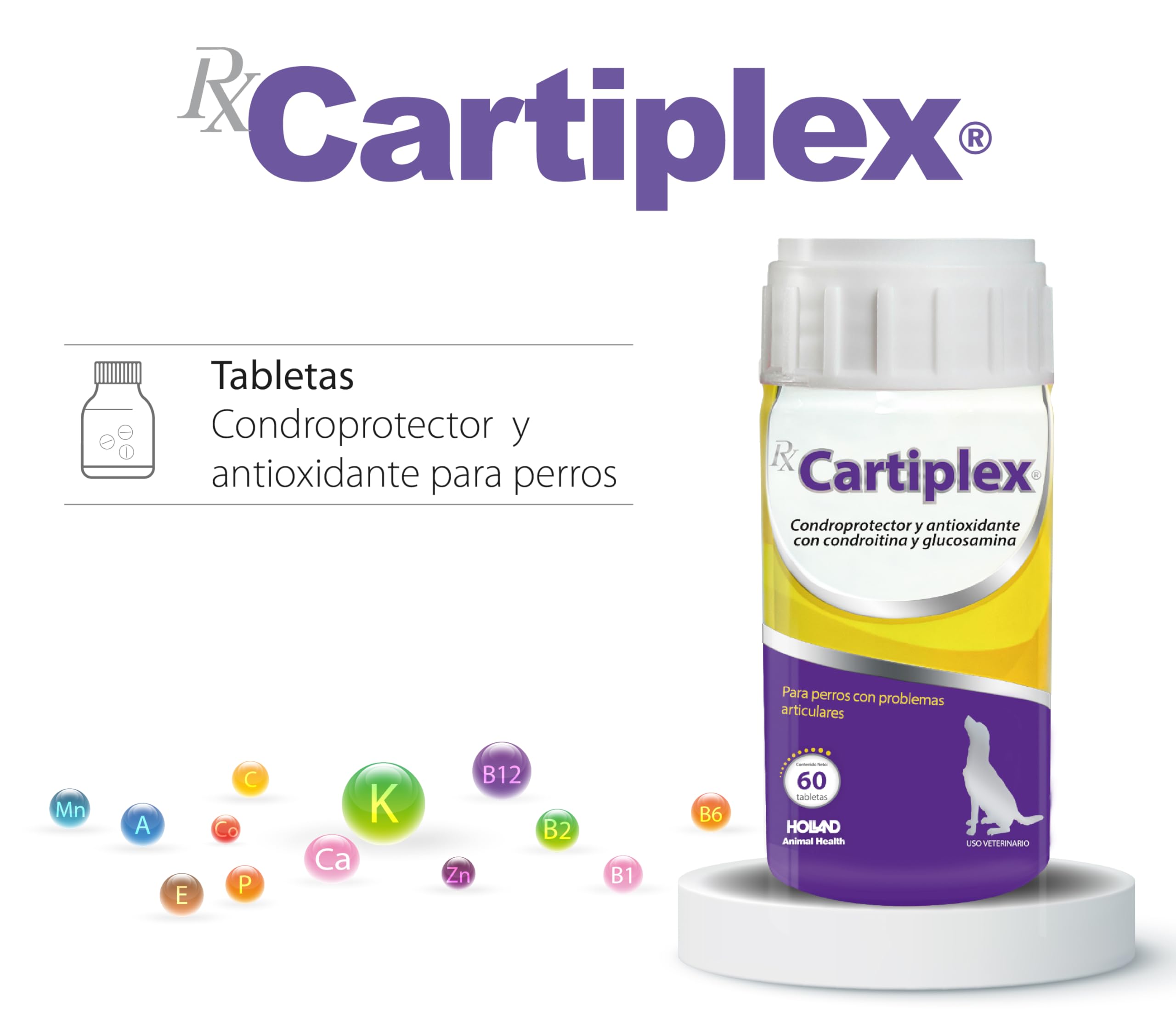 Snapklik.com : Holland RX Cartiplex
