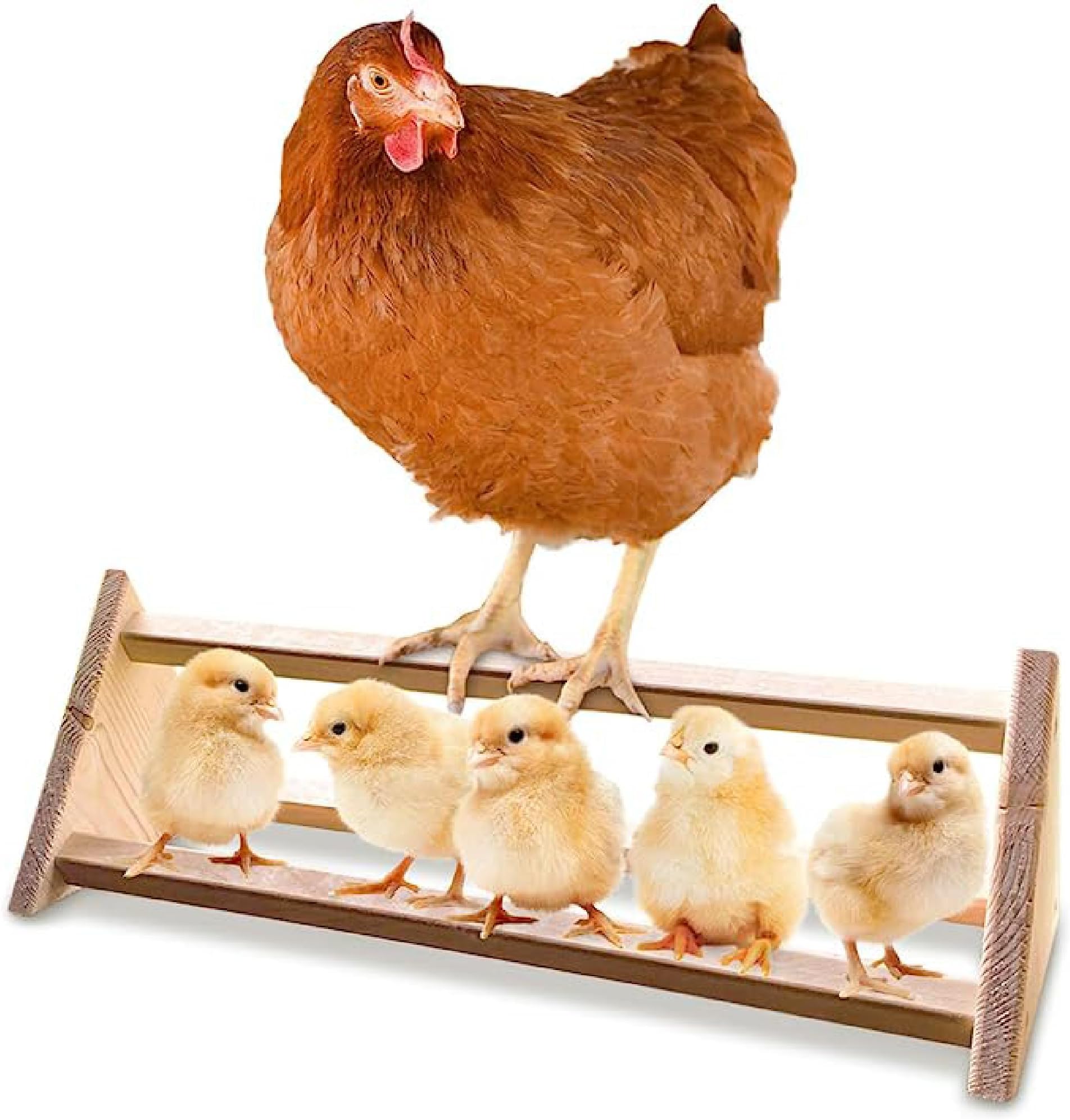Amazon.com: RITE FARM PRODUCTS 30 INCH 3 BAR Perch Chicken COOP ...