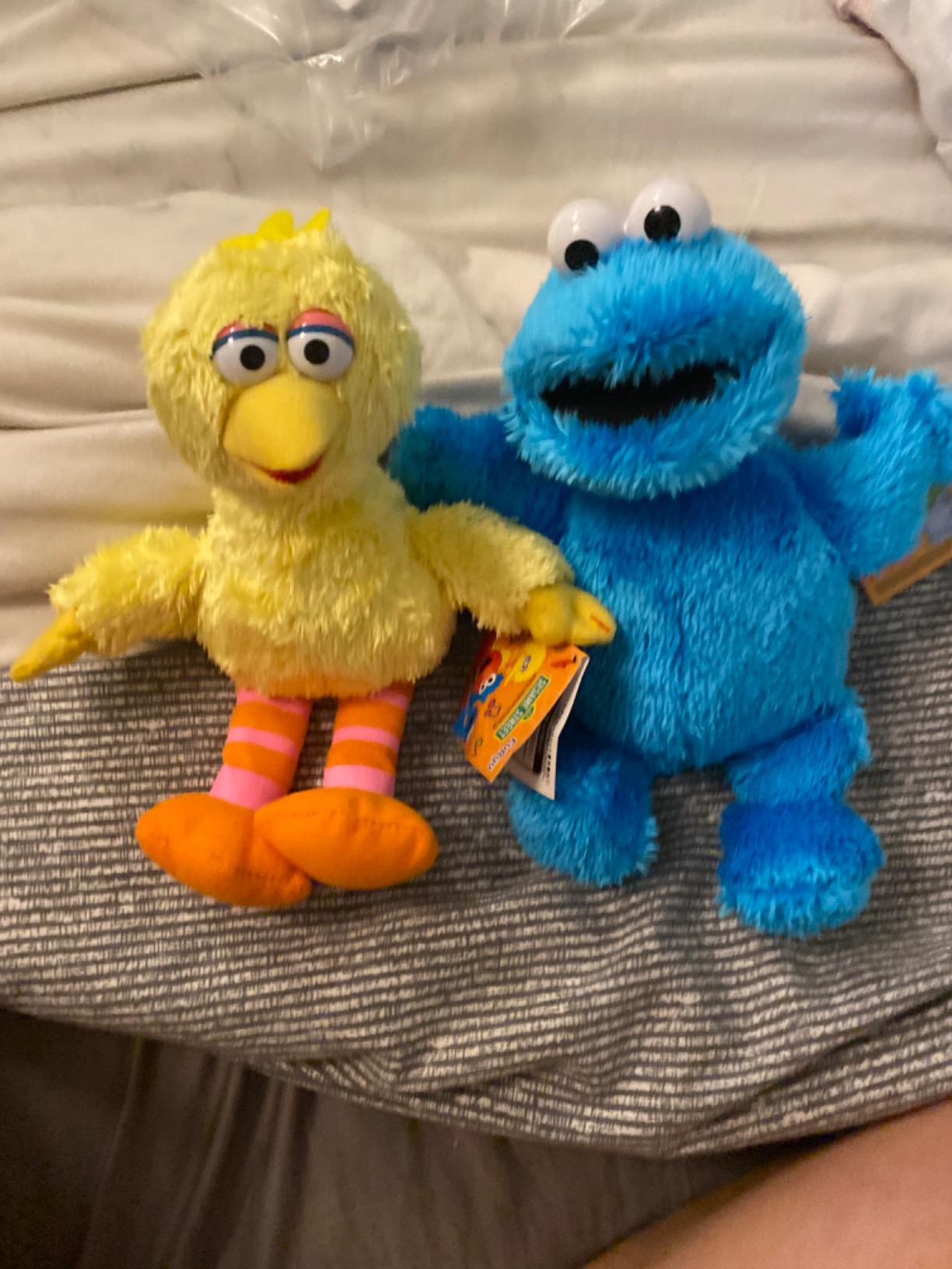 Amazon.com: Sesame Street Classic Plush - 3 Pcs Set - Includes Elmo ...