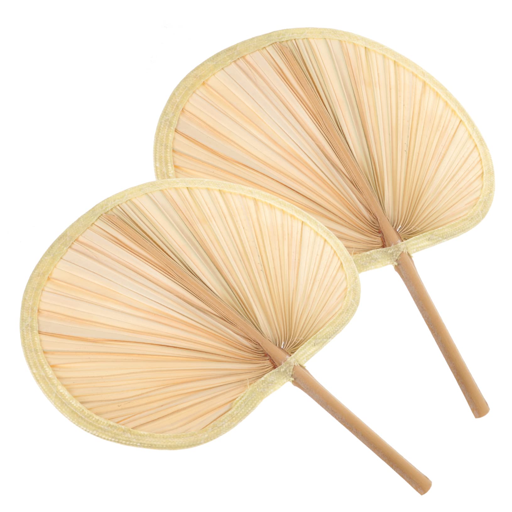Amazon.com: Happyyami Chinese Fan Palm Leaf Wedding Decor 2pcs Plantain ...