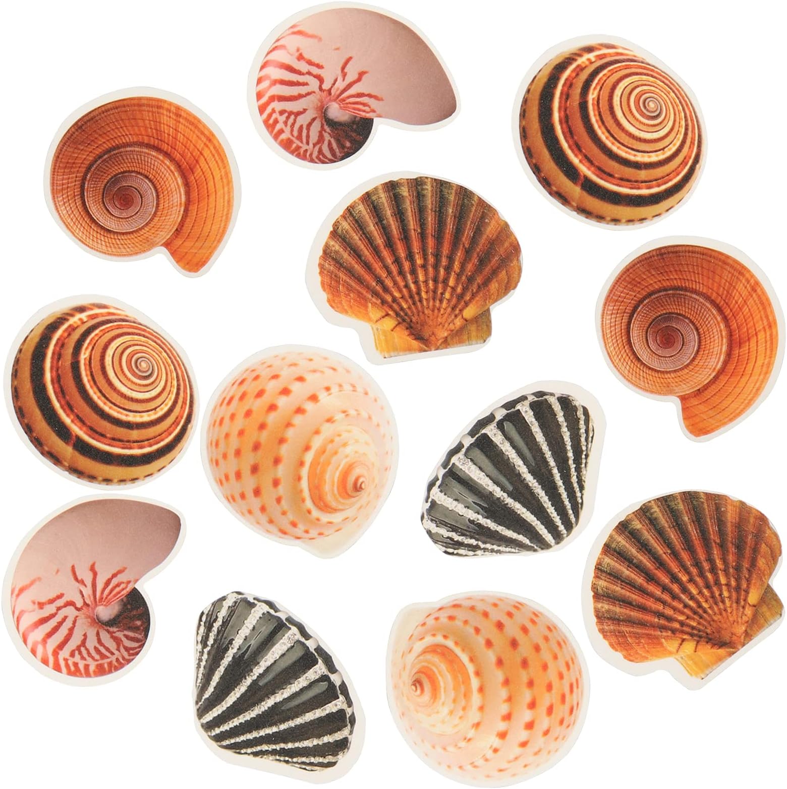 Amazon.com: FYSUIMU 10Pcs Non Slip Bathtub Stickers Summer Ocean ...