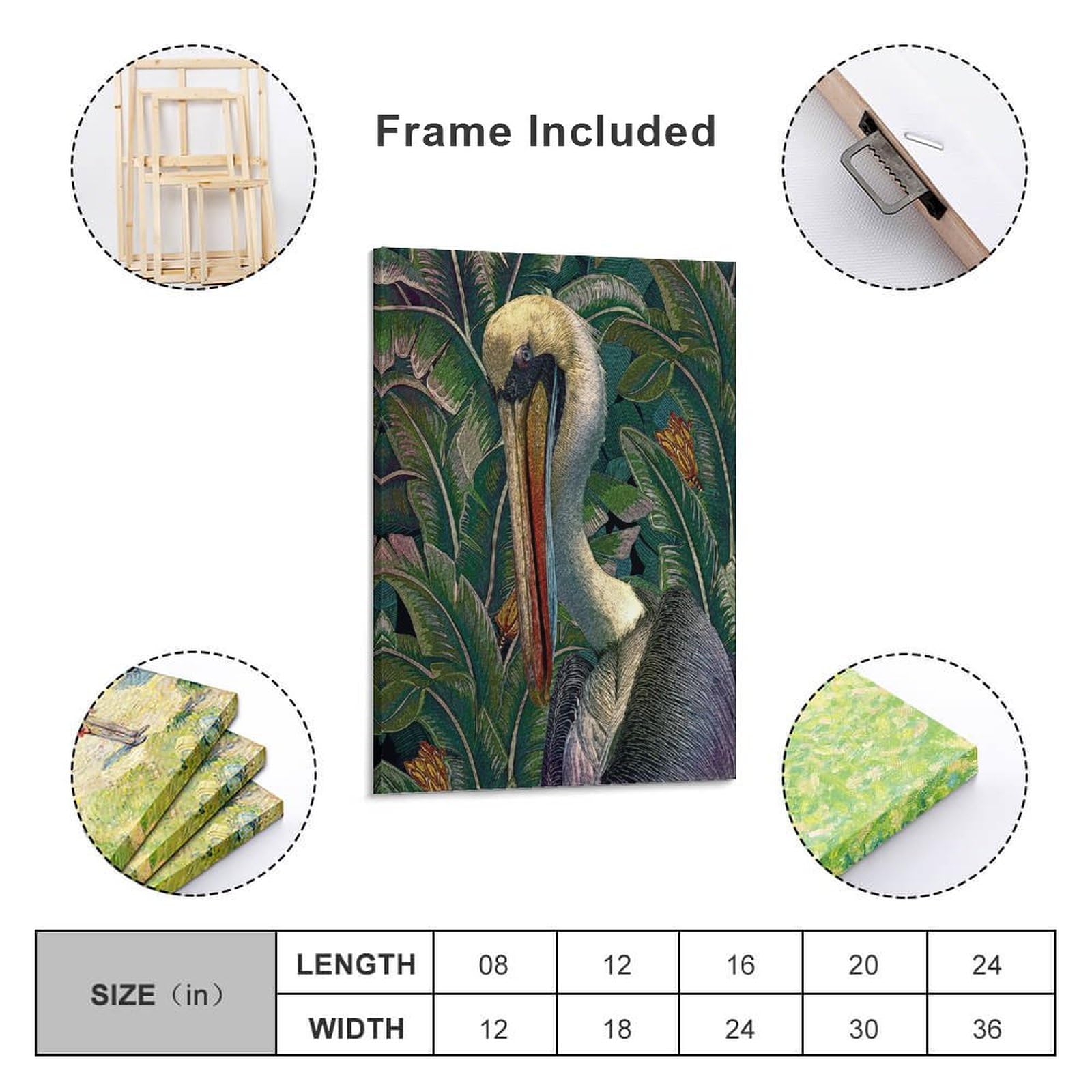 Wetland Animals Drawings