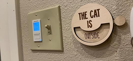 Amazon.com: Cat is In or Out Sign Reminder - Cat Inside/Outside Wooden ...