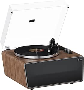 Amazon.com: All in One Vinyl Record Player,Bluetooth Turntable Built in ...