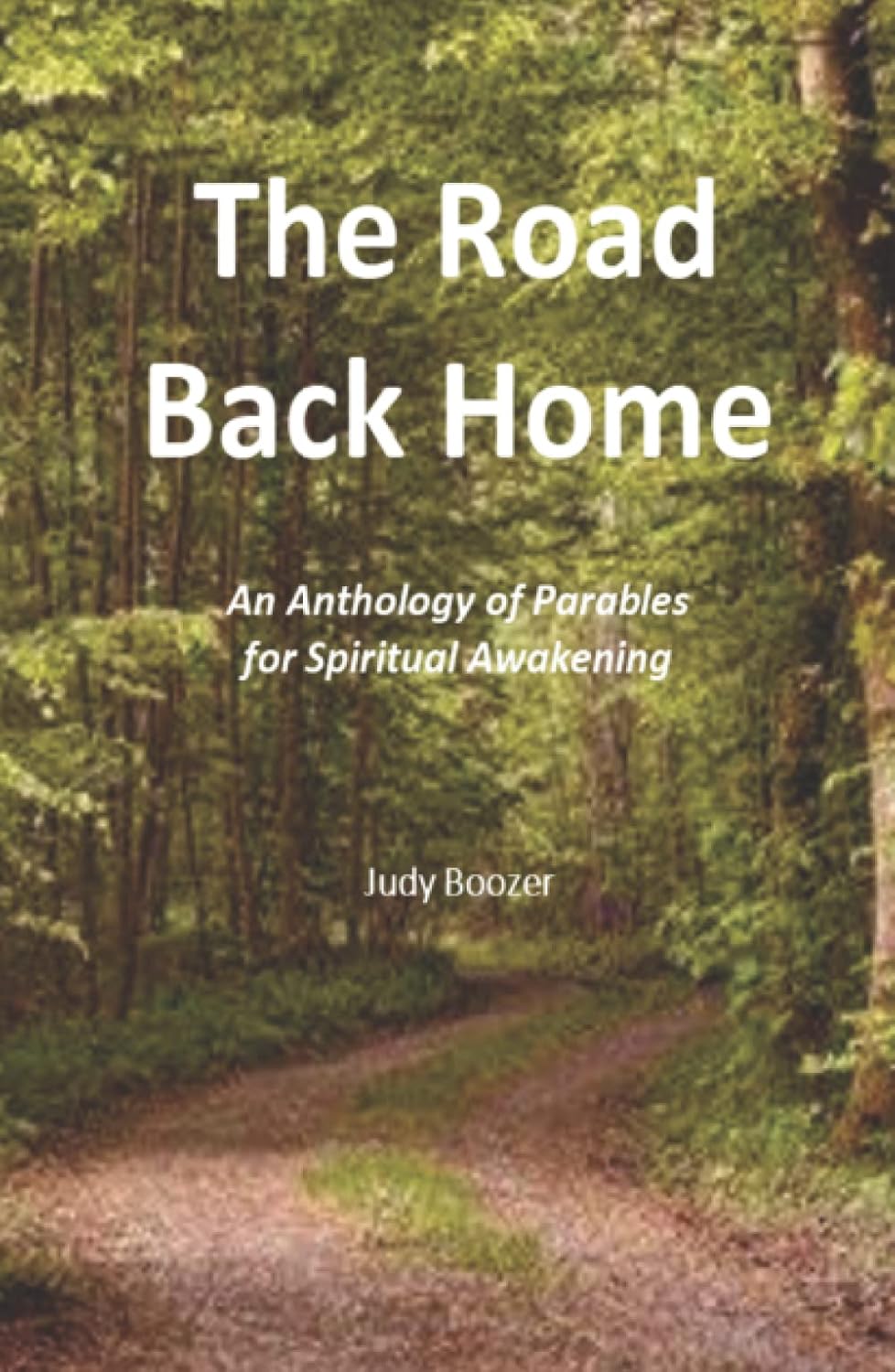 Amazon.com: The Road Back Home: An Anthology of Parables for Spiritual ...