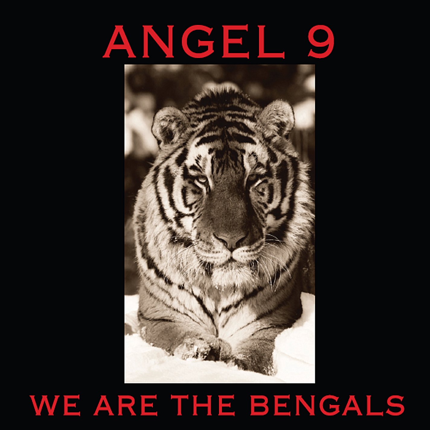 Amazon.com: We Are the Bengals: CDs & Vinyl