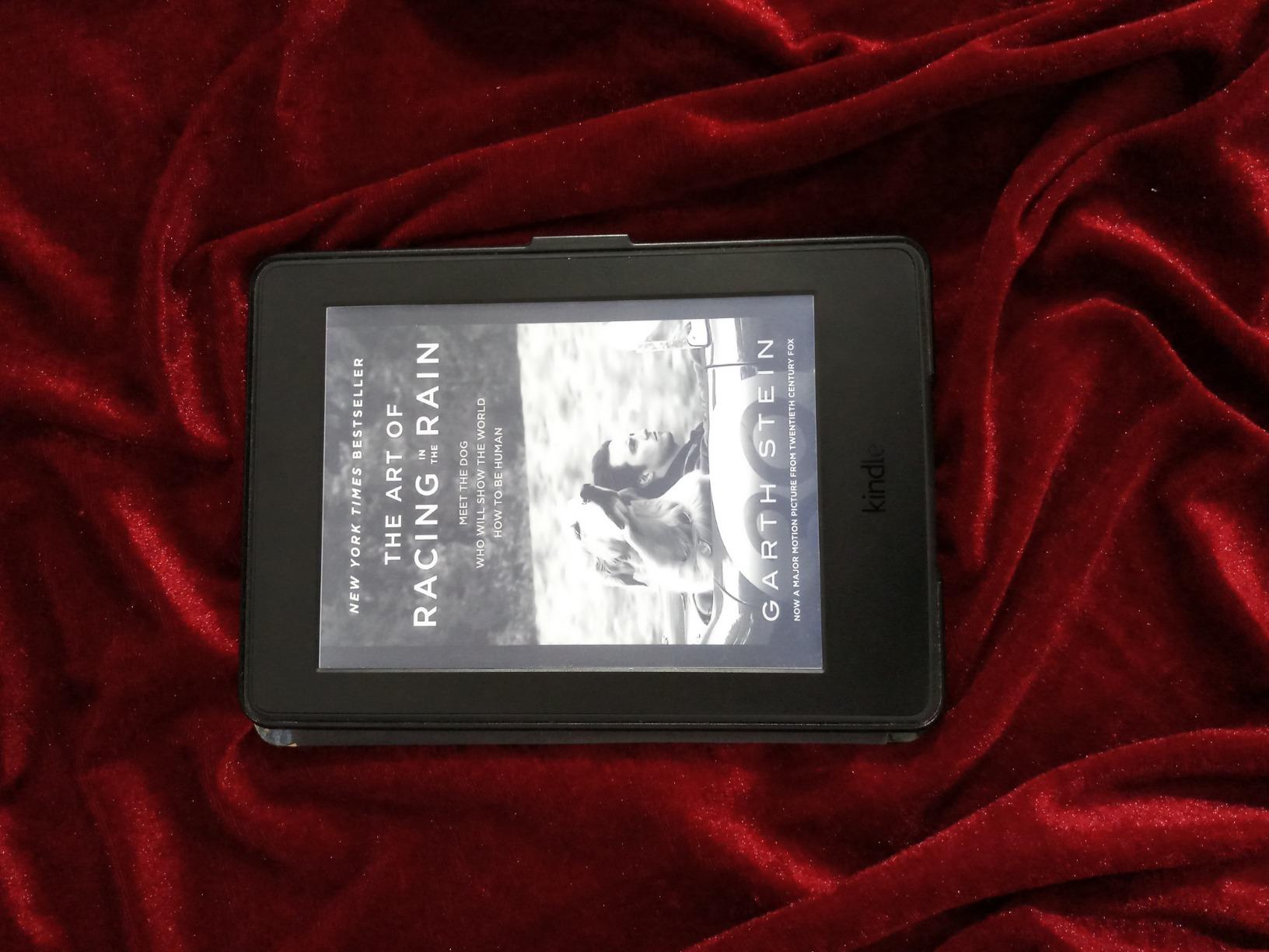 The Art of Racing in the Rain eBook : Stein, Garth: Amazon.in: Kindle Store