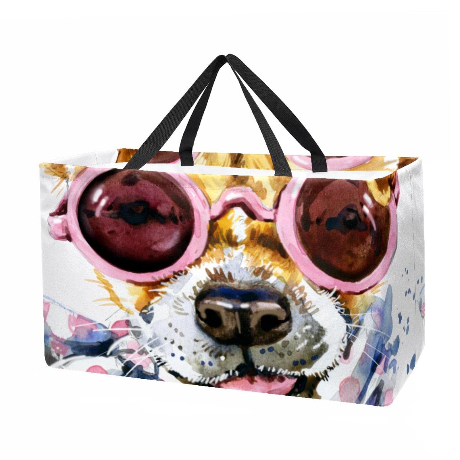 Dog With Glasses And Scarf