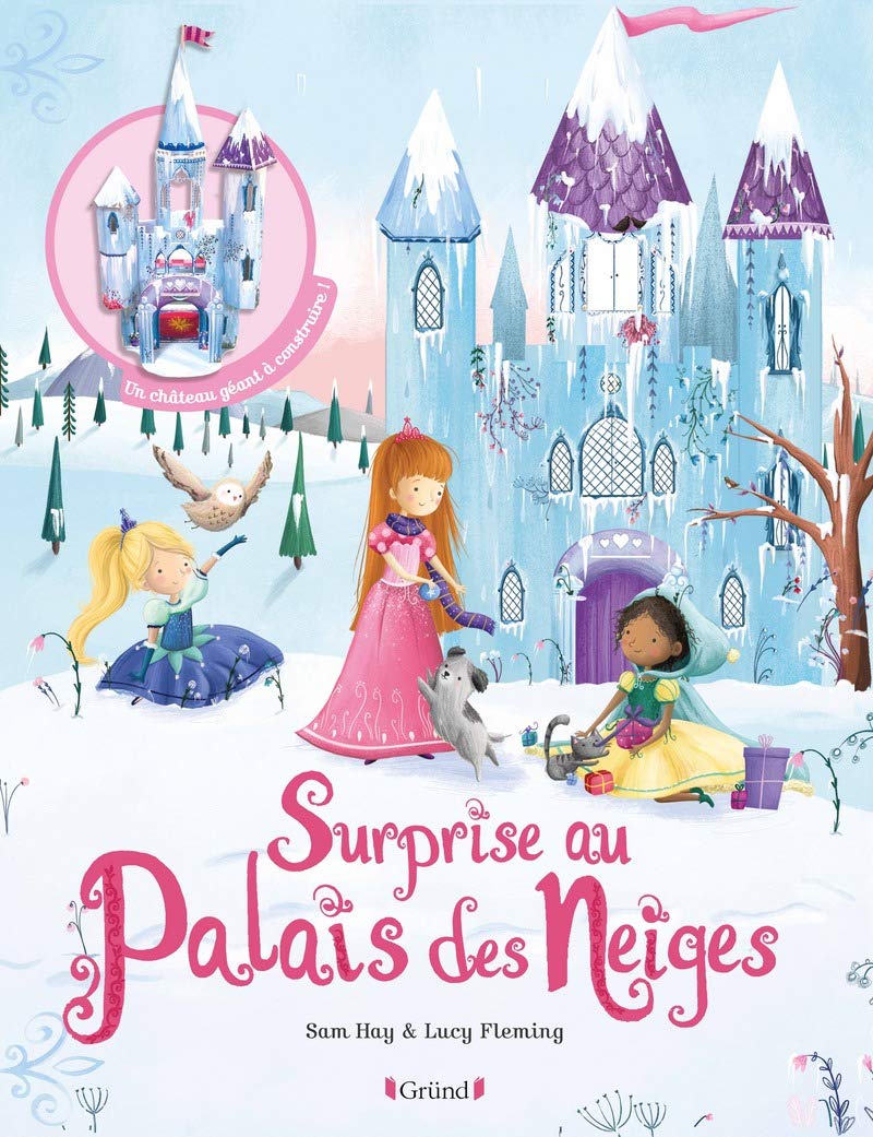 SURPRISE AU PALAIS DES NEIGES : HAY,SAM, FLEMING,LUCY: Amazon.ca: Books