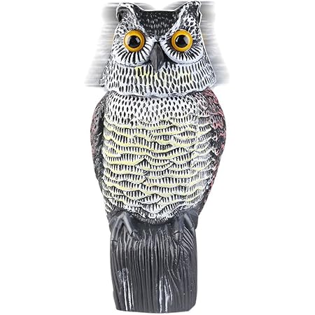 Amazon.com : Fake Owl Sculpture with Rotating Head Owl for Garden ...