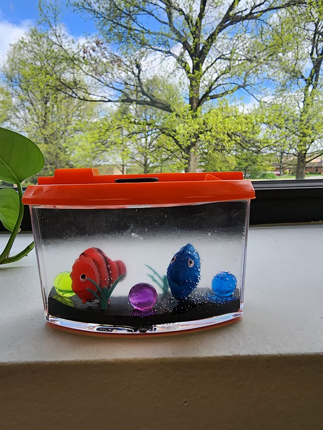 $3/mo - Finance JA-RU Magic Grow-Aquarium Growing-Fish Toy Set (6 Pack ...