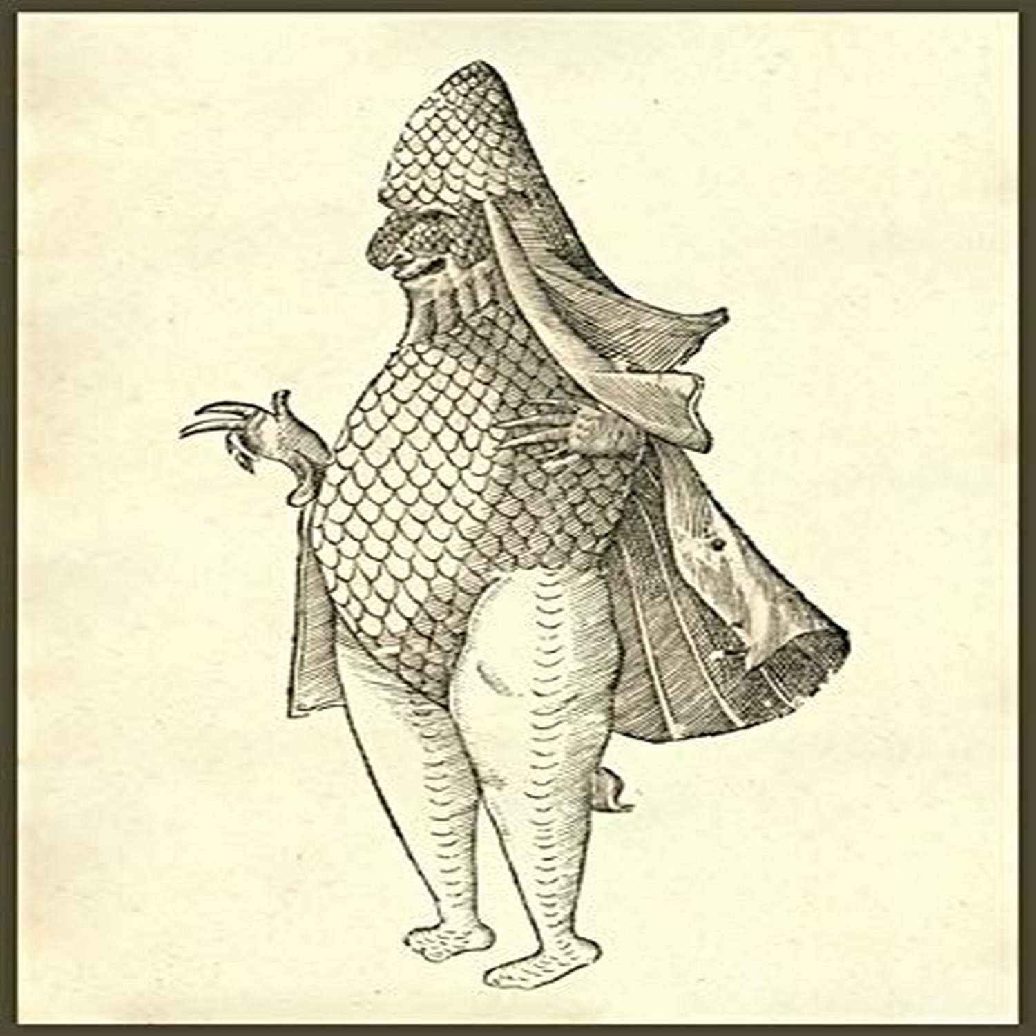 Amazon.com: Monstrum marinum rudimenta habitus episcopi referensscaled ...