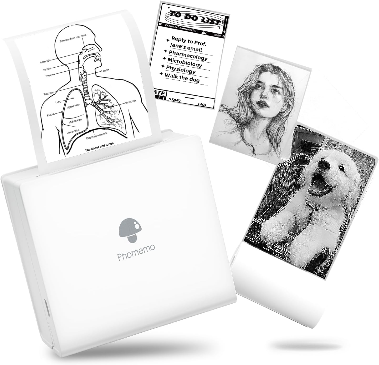 Amazon.com: Phomemo Mini Bluetooth Mobile Printer - M02 Pocket Thermal ...