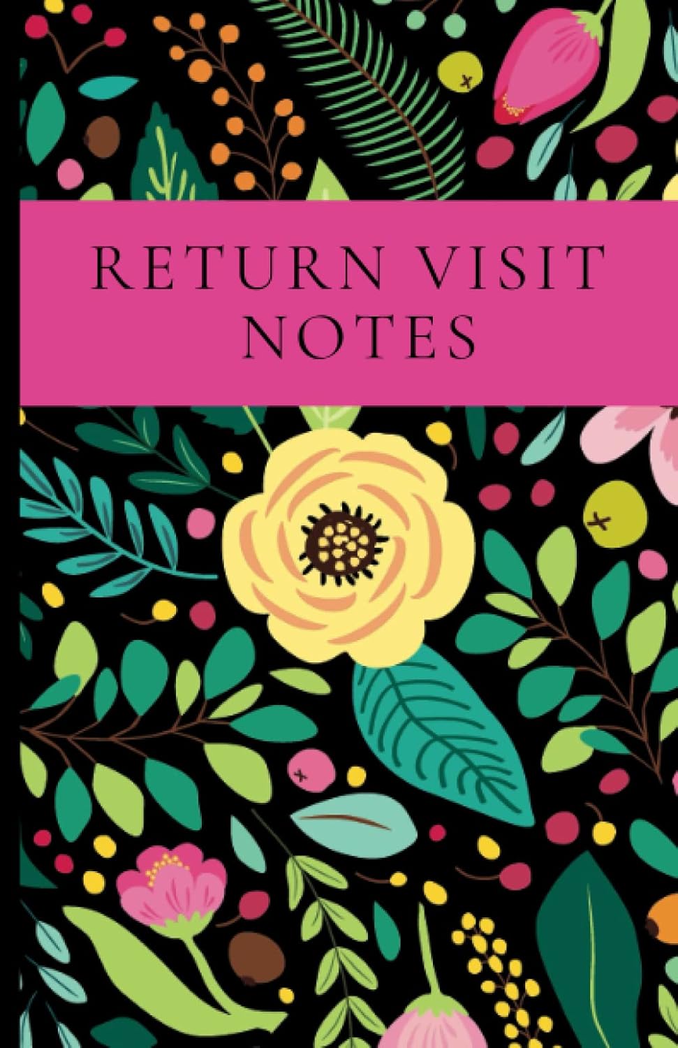Return Visit Notes: Renee, Cichon: Amazon.com: Books