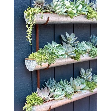 Amazon.com: Gardener's Supply Company 3-Tier Galvanized Vertical Wall ...
