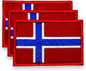 Amazon.com: DM 3Pack Norway Flag Embroidered Patches Tactical Norwegian ...