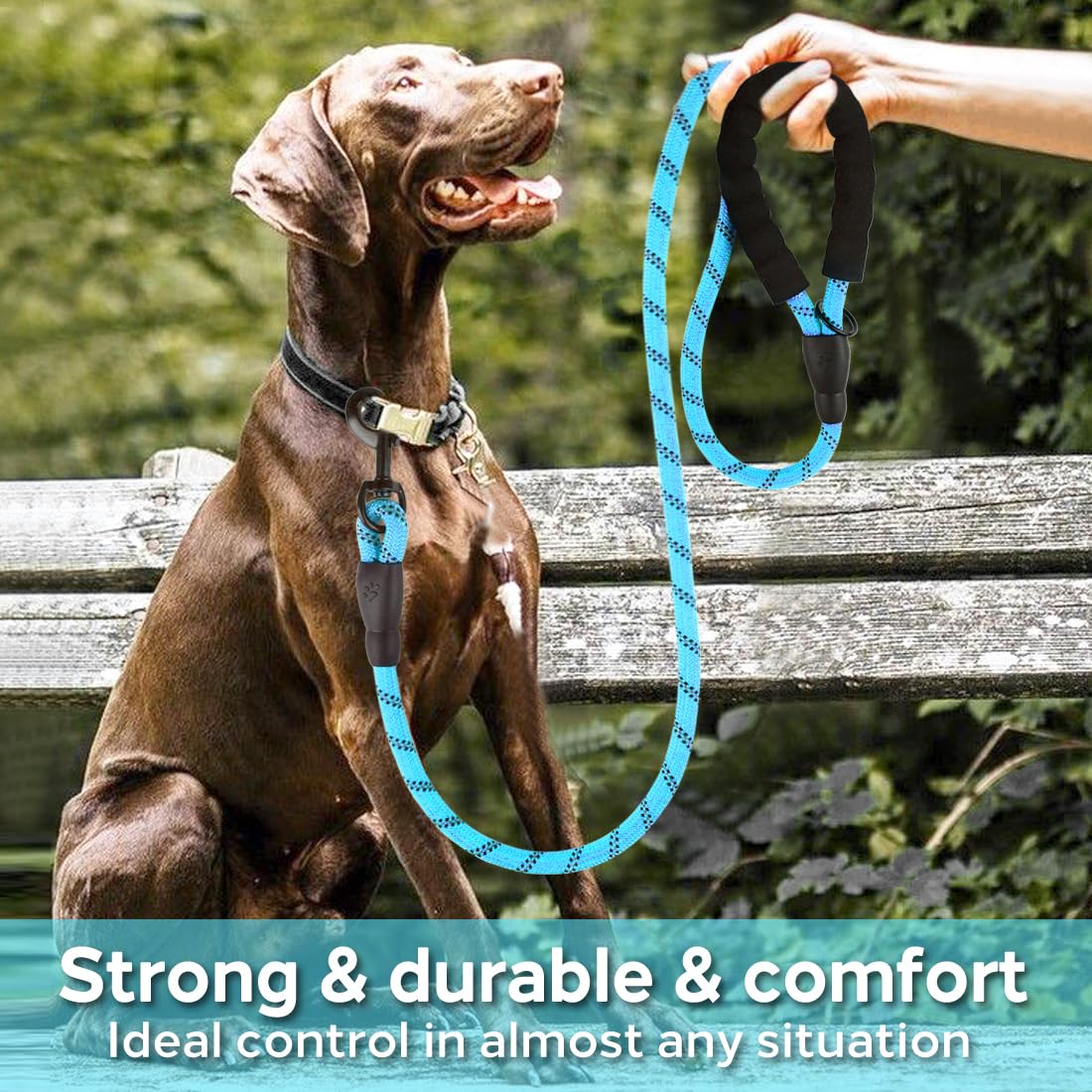 Snapklik.com : COOYOO Dog Leash 5/6 FT