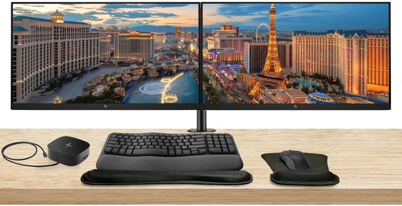 Amazon.com: HP EliteDisplay E24u G5 24 inch FHD LCD IPS Monitor, 2-Pack ...