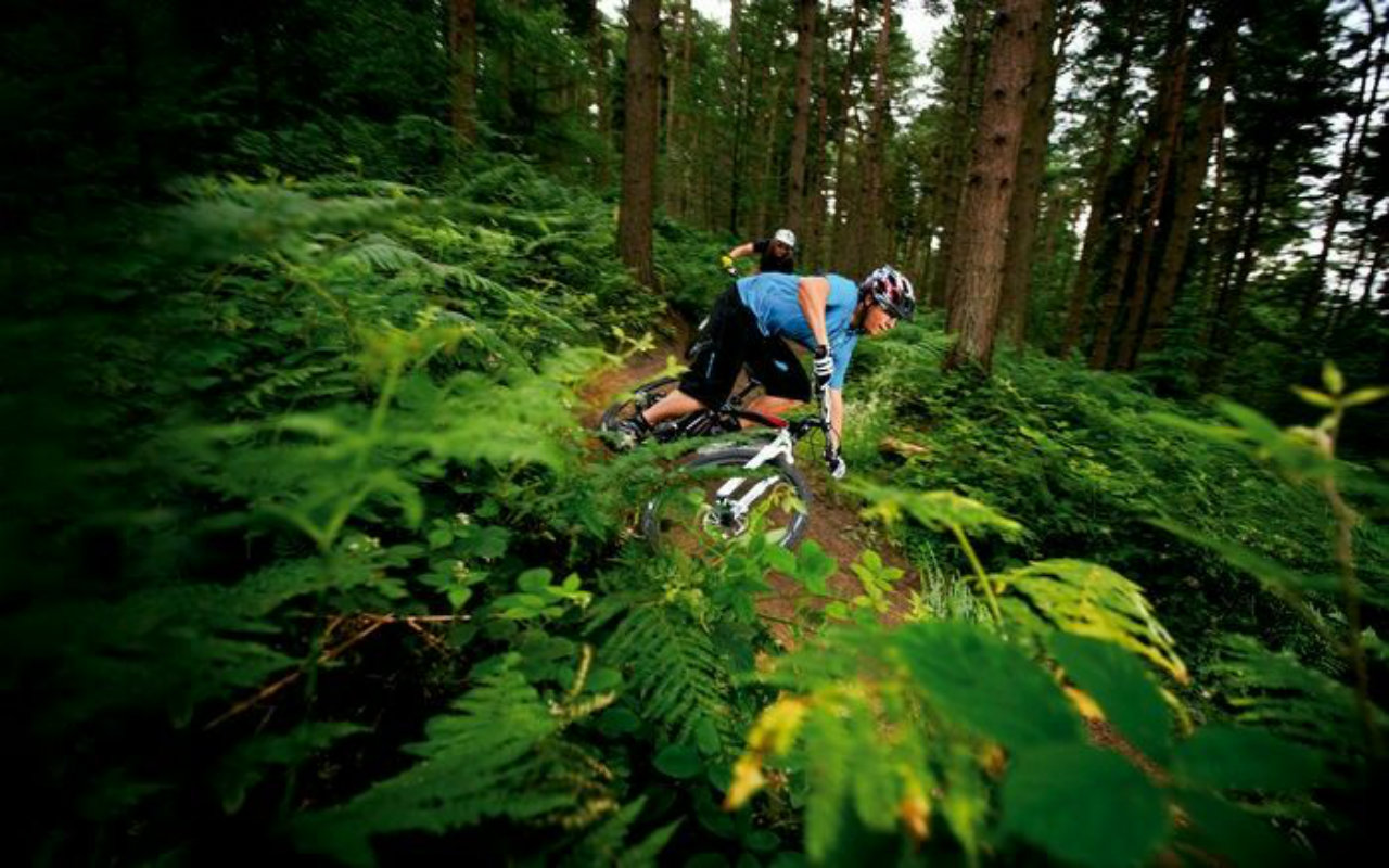 Off Road BMX - App on the Amazon Appstore