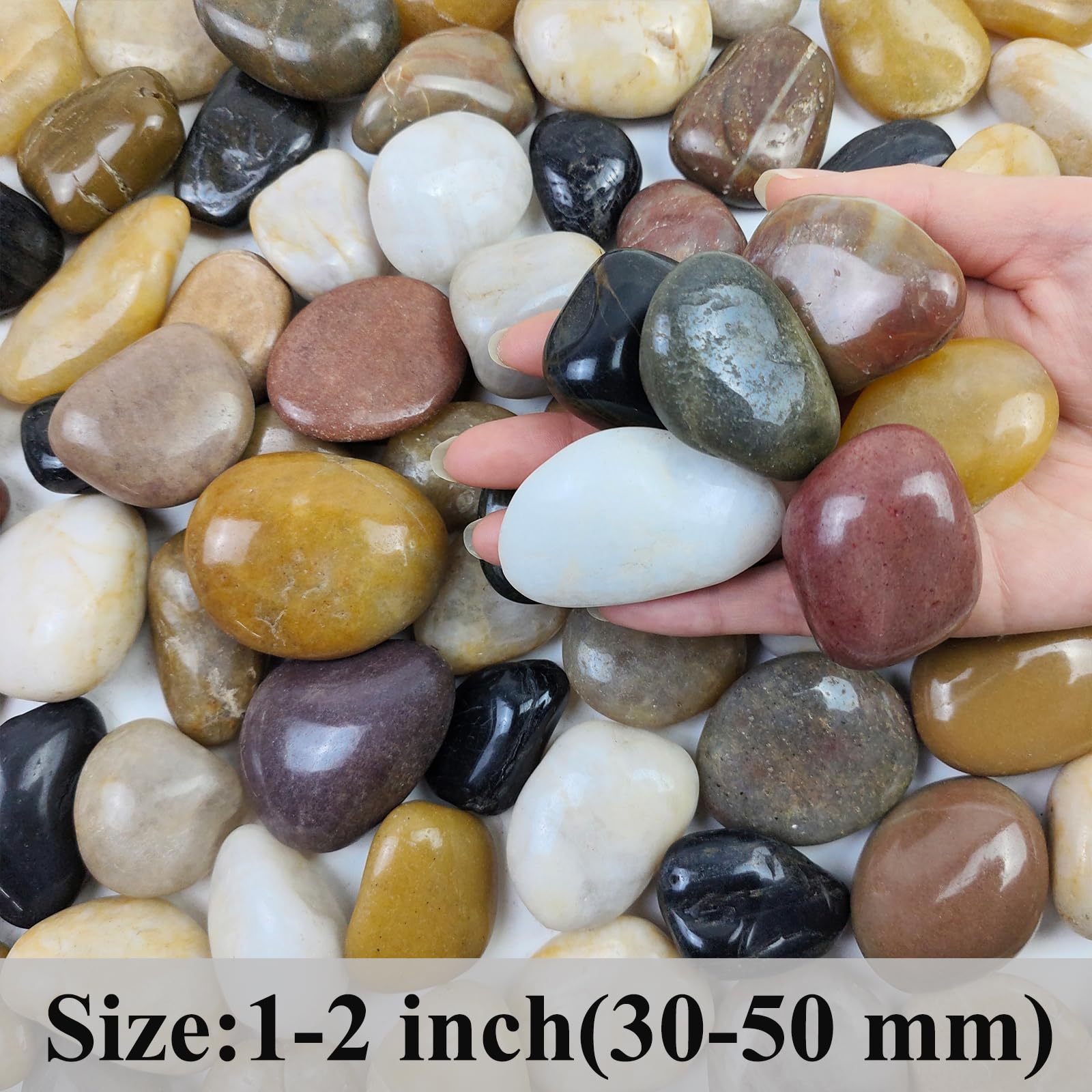 Snapklik.com : 2 Lbs Pebbles For Plants, 1-2 Inch Polished River Rocks ...