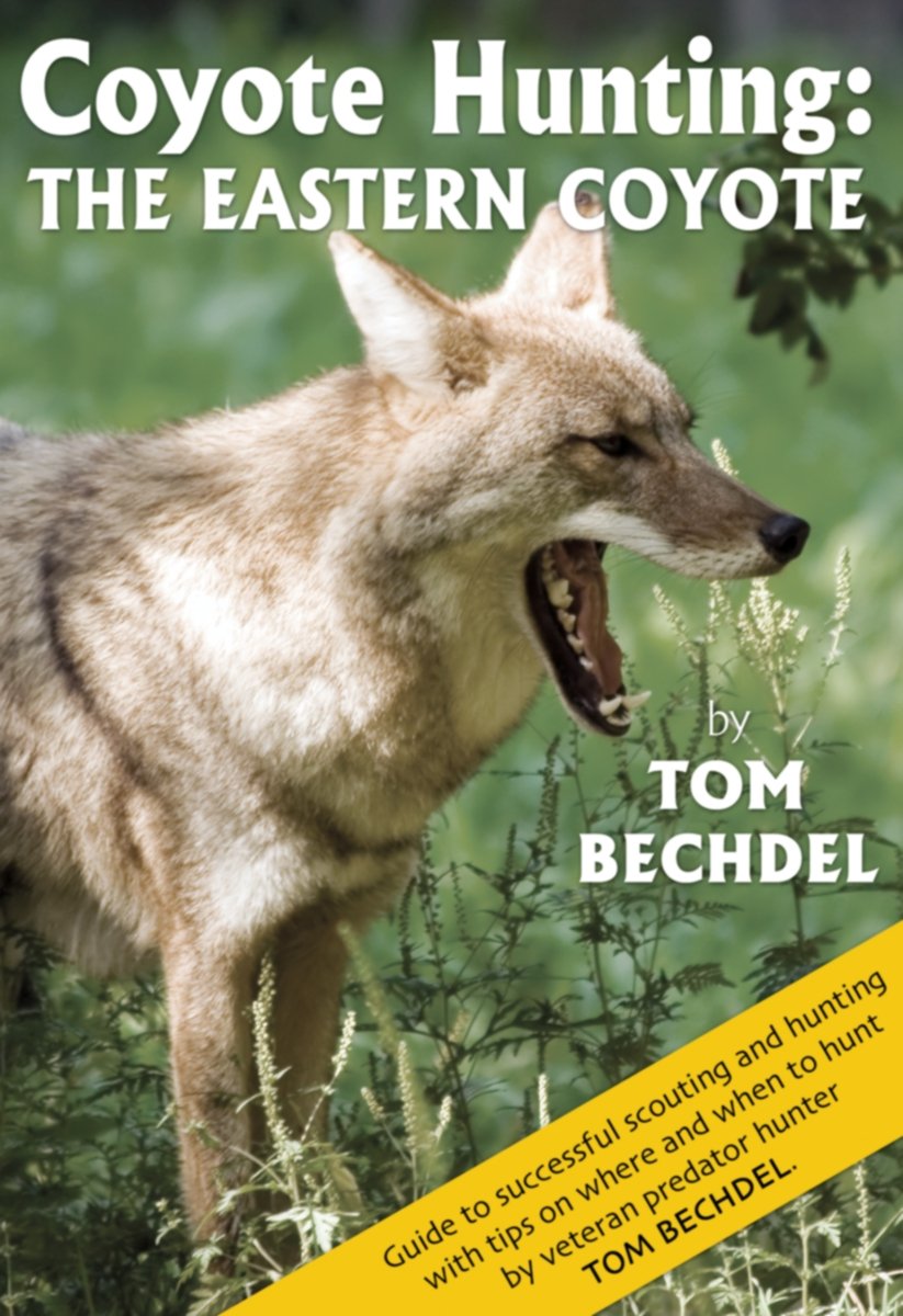 Coyote Hunting: The Eastern Coyote: Bechdel, Tom: 9780929915494: Amazon ...