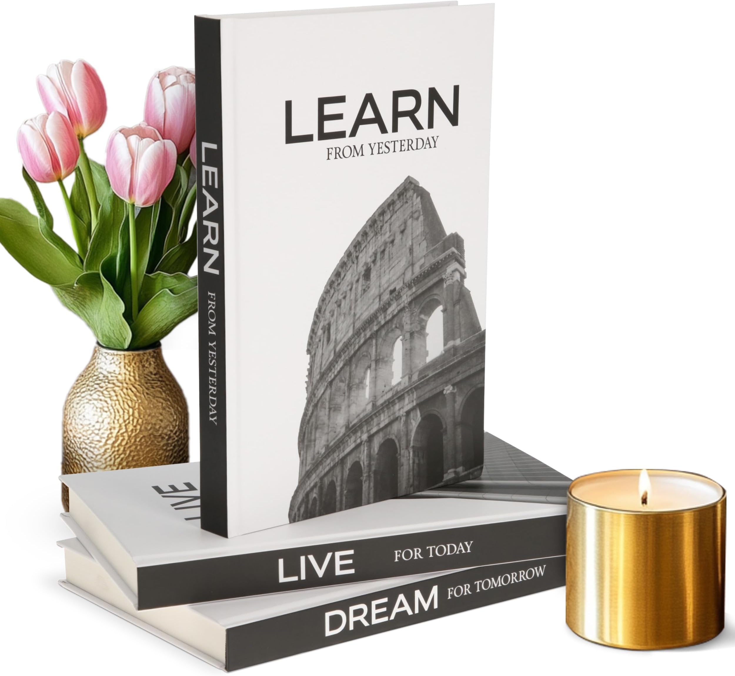 Amazon.com: Aesthetic Black and White Decorative Books for Home Decor ...