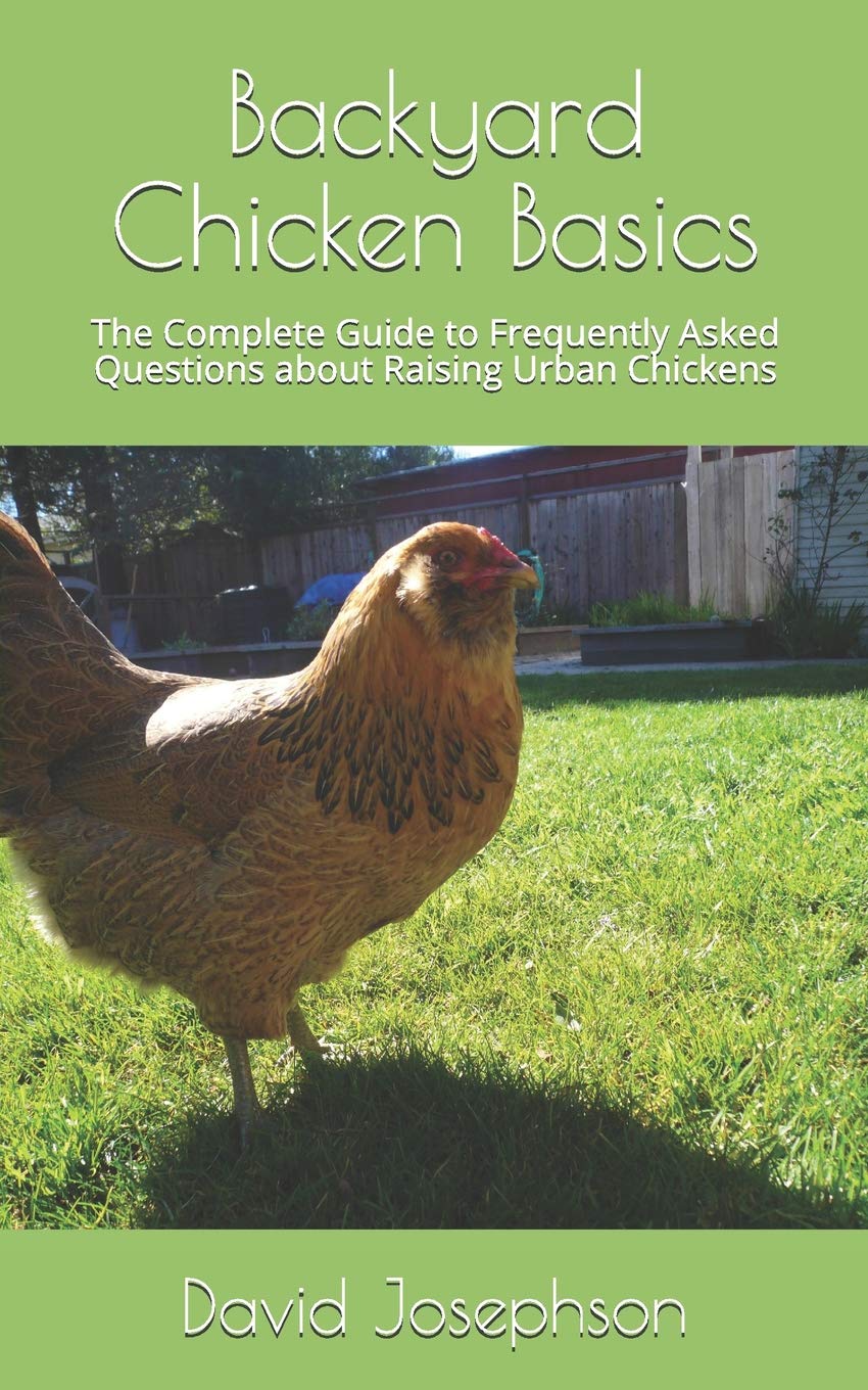 Backyard Chicken Basics The Complete Guide To Frequently Asked Questions | Desertcart Sri Lanka