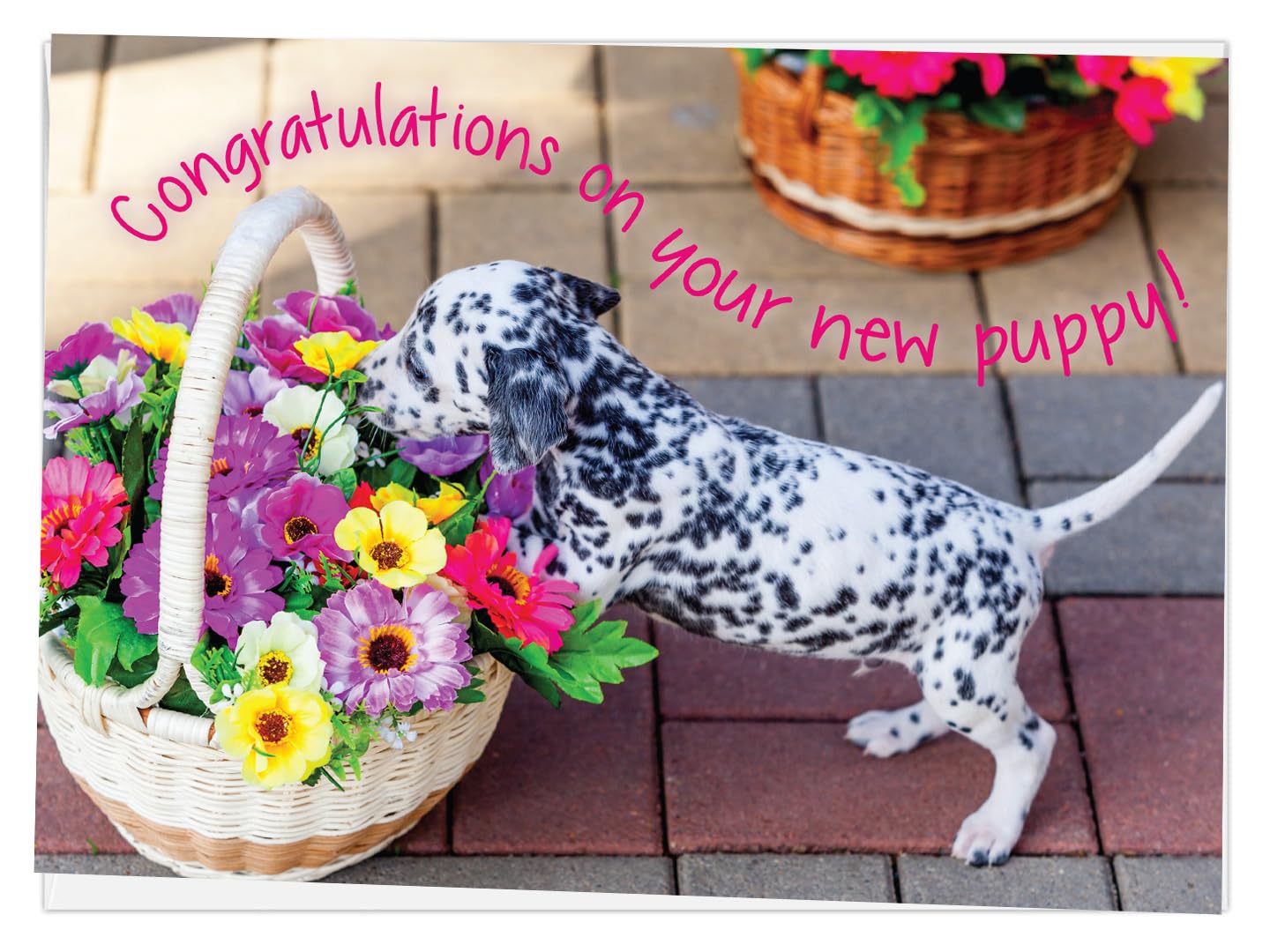 Veel Geluk Puppy Ecard