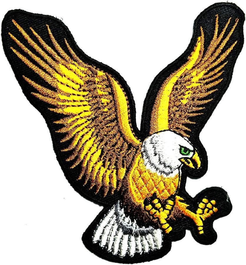 Amazon.com: HHO Majestic American Spirit National Bald Eagle Bird Patch ...