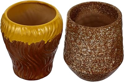 Amazon.com : Sunnydaze Resort Ceramic Flower Pot Planter with Drainage Holes - Set of 2 - High ...