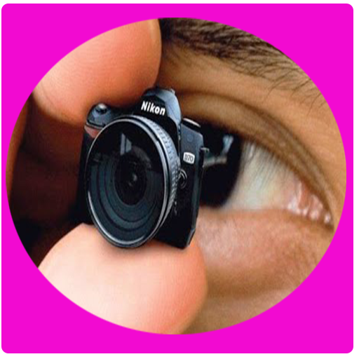 Worlds Smallest Things