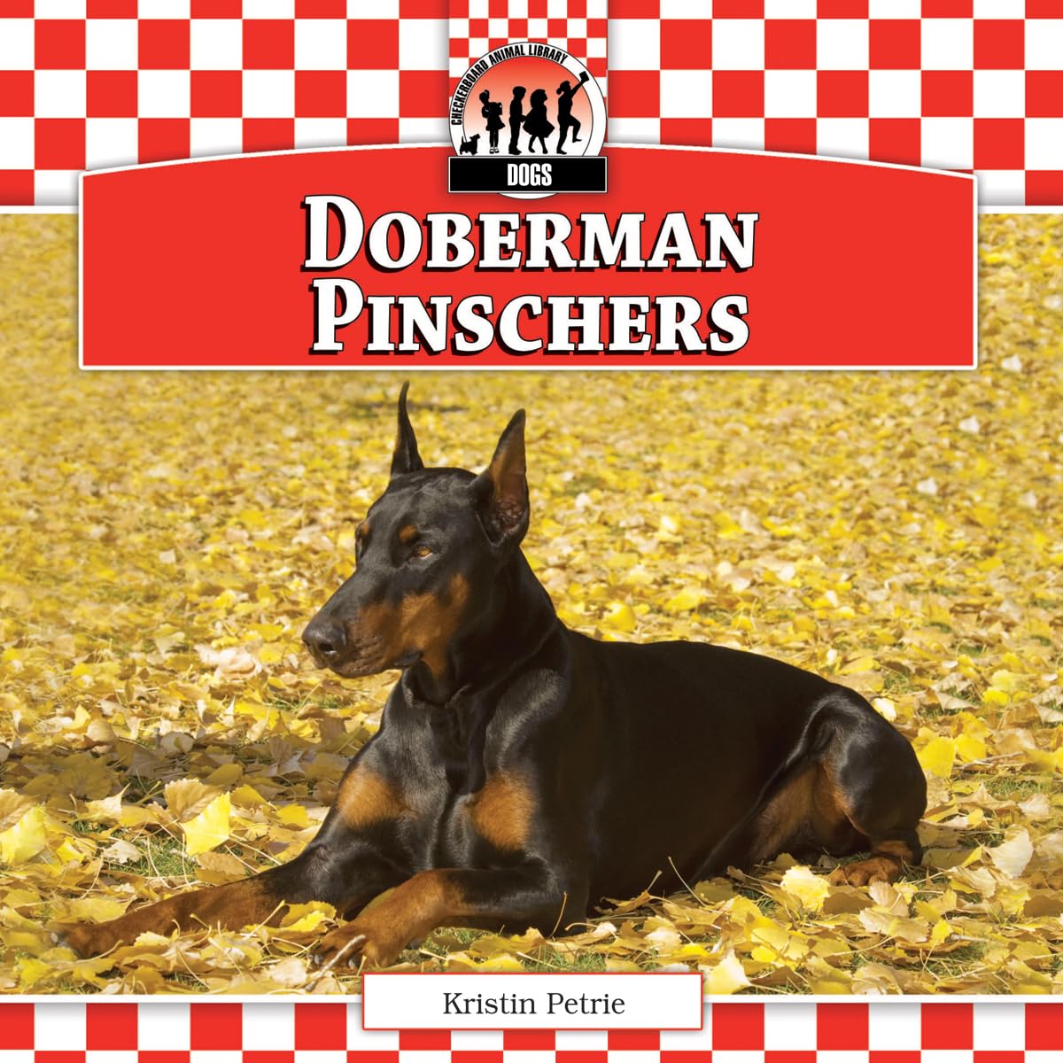 Doberman Pinschers (Dogs Set 11): Petrie, Kristin: 9781624031021 ...