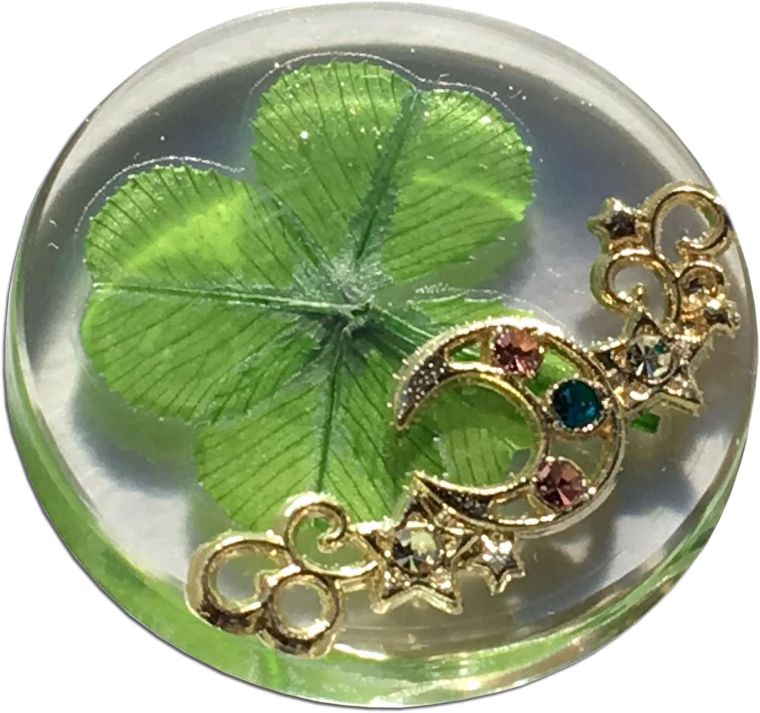 Amazon.com: Real Four Leaf Clover Good Luck Pocket Token, Preserved, 1. ...