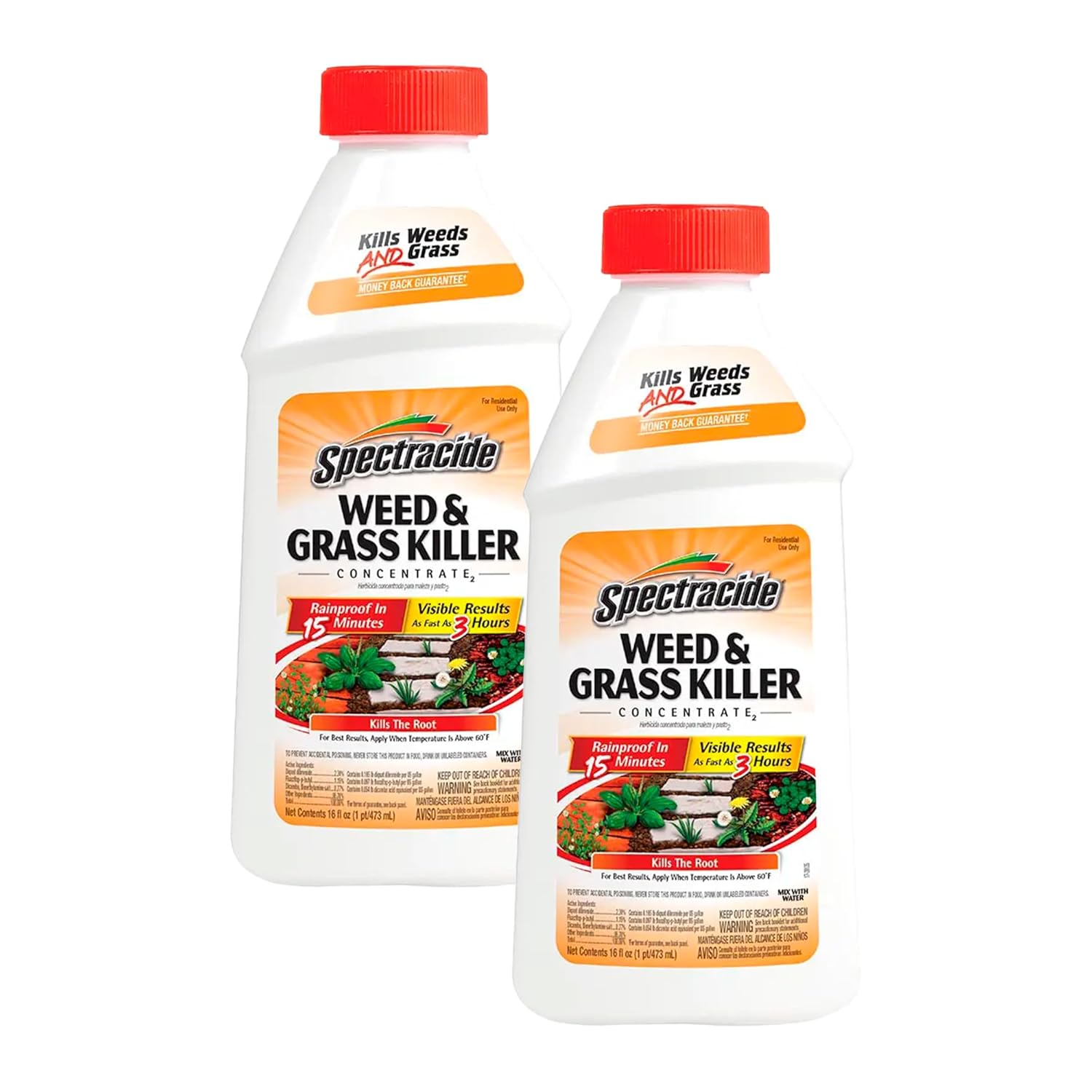 Amazon.com : Spectracide Weed and Grass Killer Concentrate 16 Ounces ...