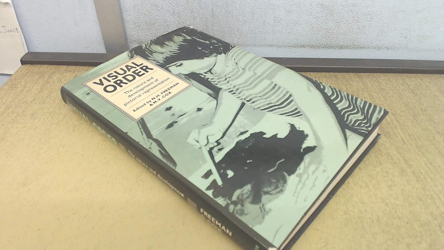 Amazon.com: Visual Order: The Nature and Development of Pictorial ...