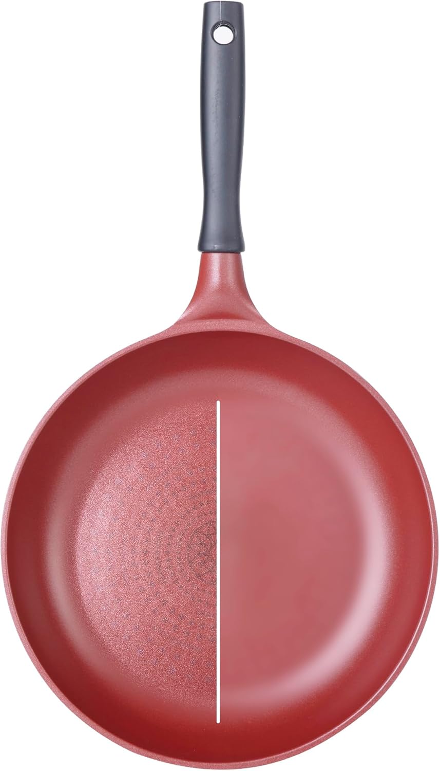 Amazon.com: Zalnuuk Non Stick Frying Pan, 10 Inch Skillet, Temperature ...