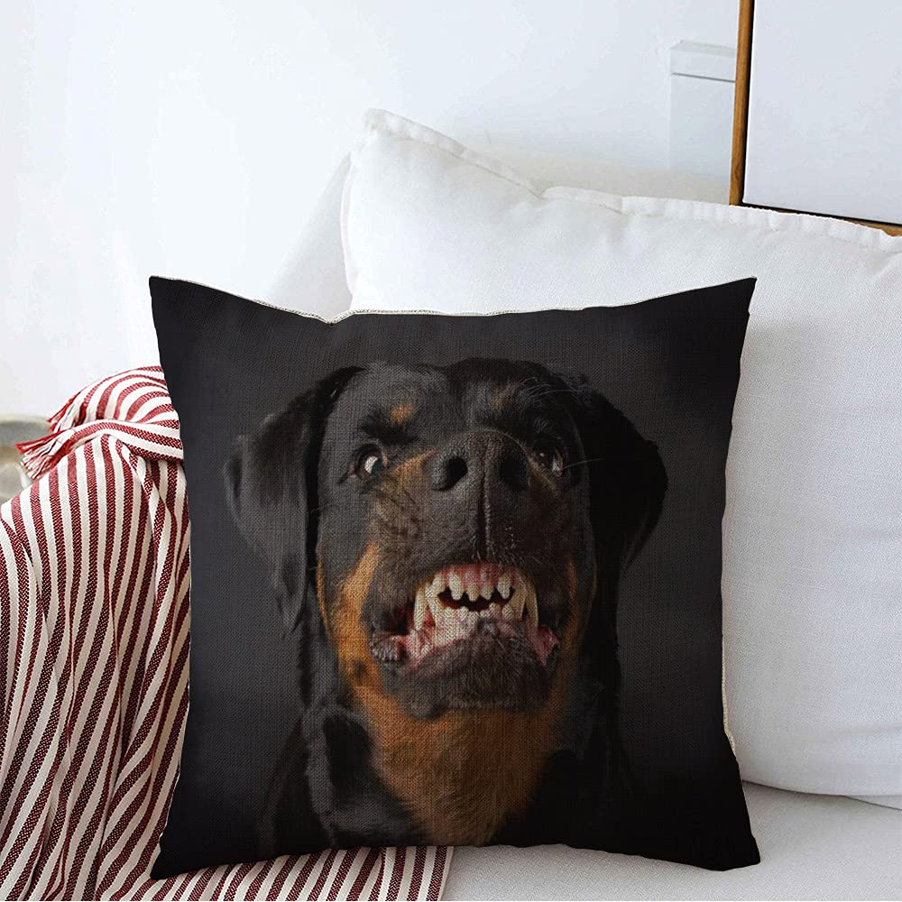 Angry Rottweiler