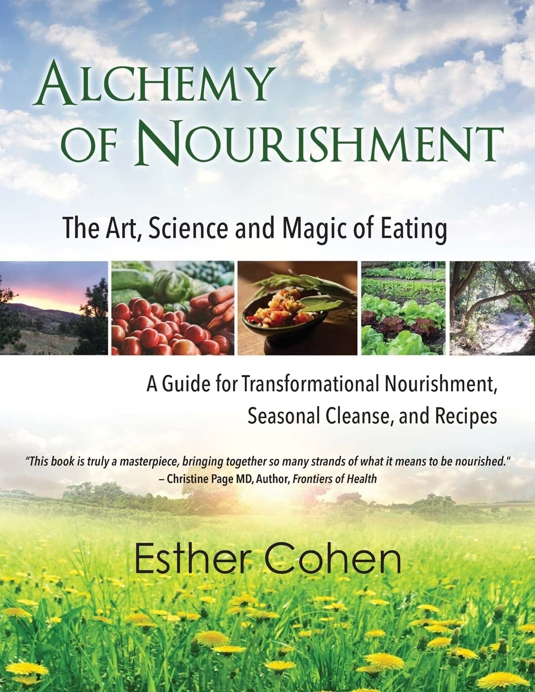 Alchemy of Nourishment: The Art, Science and Magic of Eating: Cohen ...