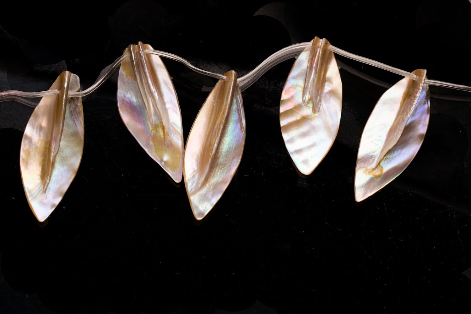 Amazon.com: Gold-Lip Sea Shells Top Drilled Leaf Shell Beads Size ...