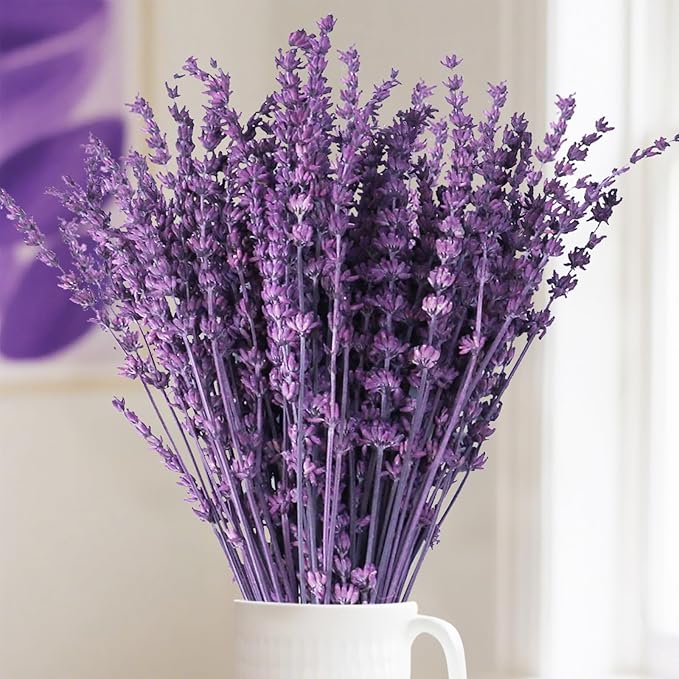 Amazon.com: Rylenor Dried Lavender Flower Bundle for Vase Decor –15 ...